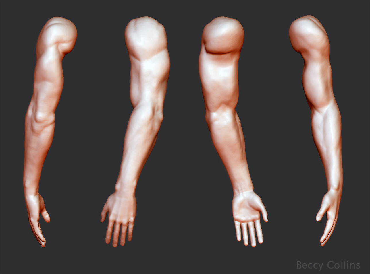ArtStation - Anatomy study sculpts