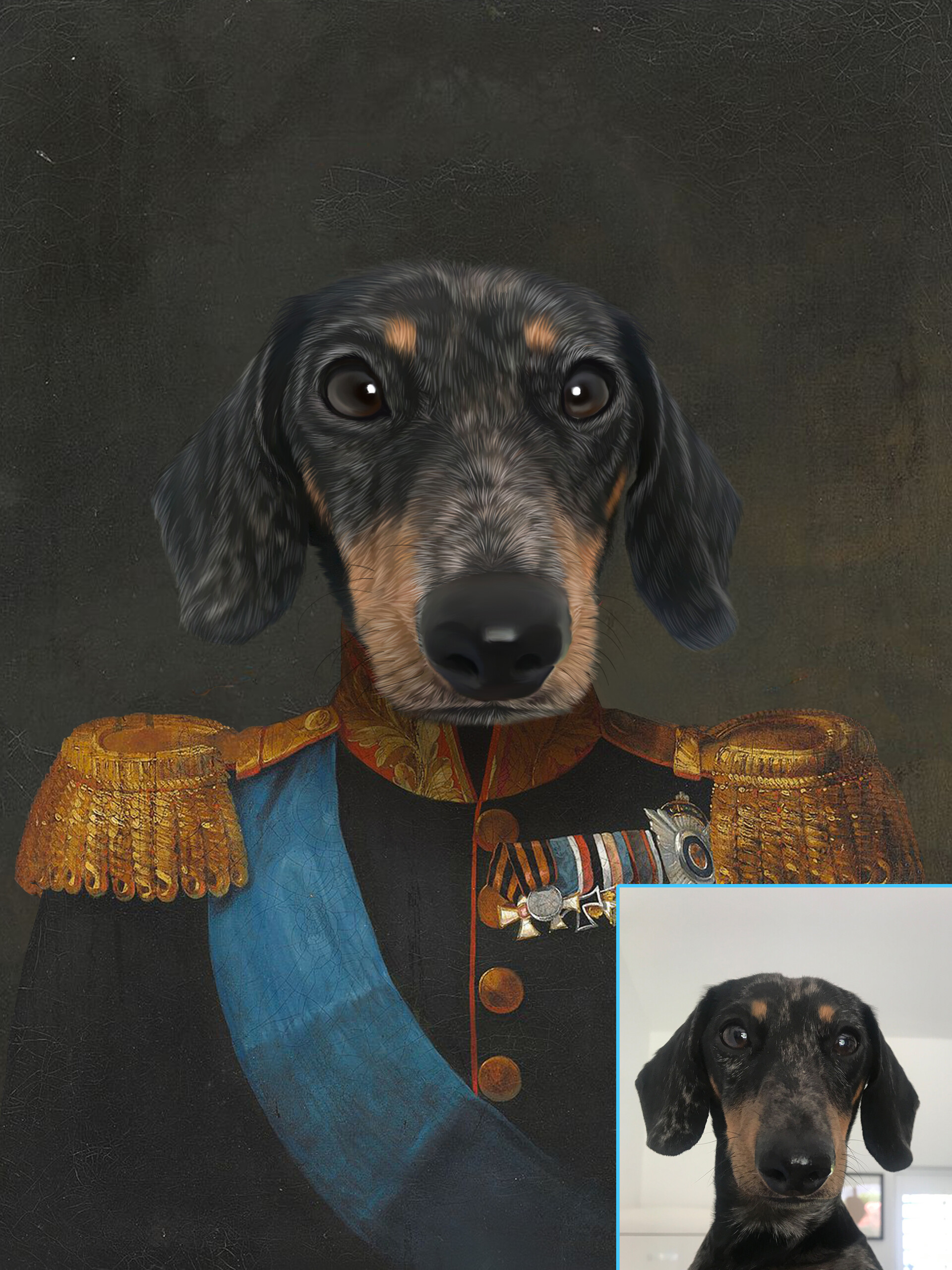 ArtStation - Pet portrait digital painting