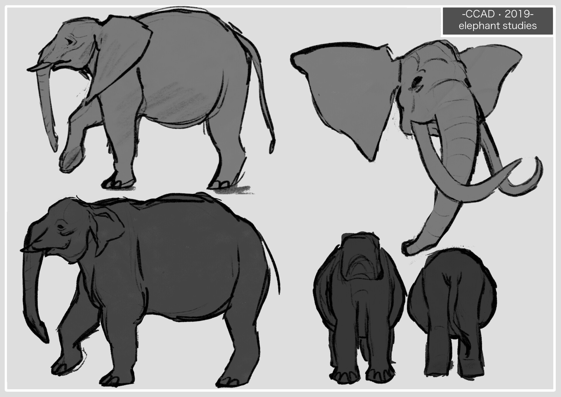 elephant walk cycle reference