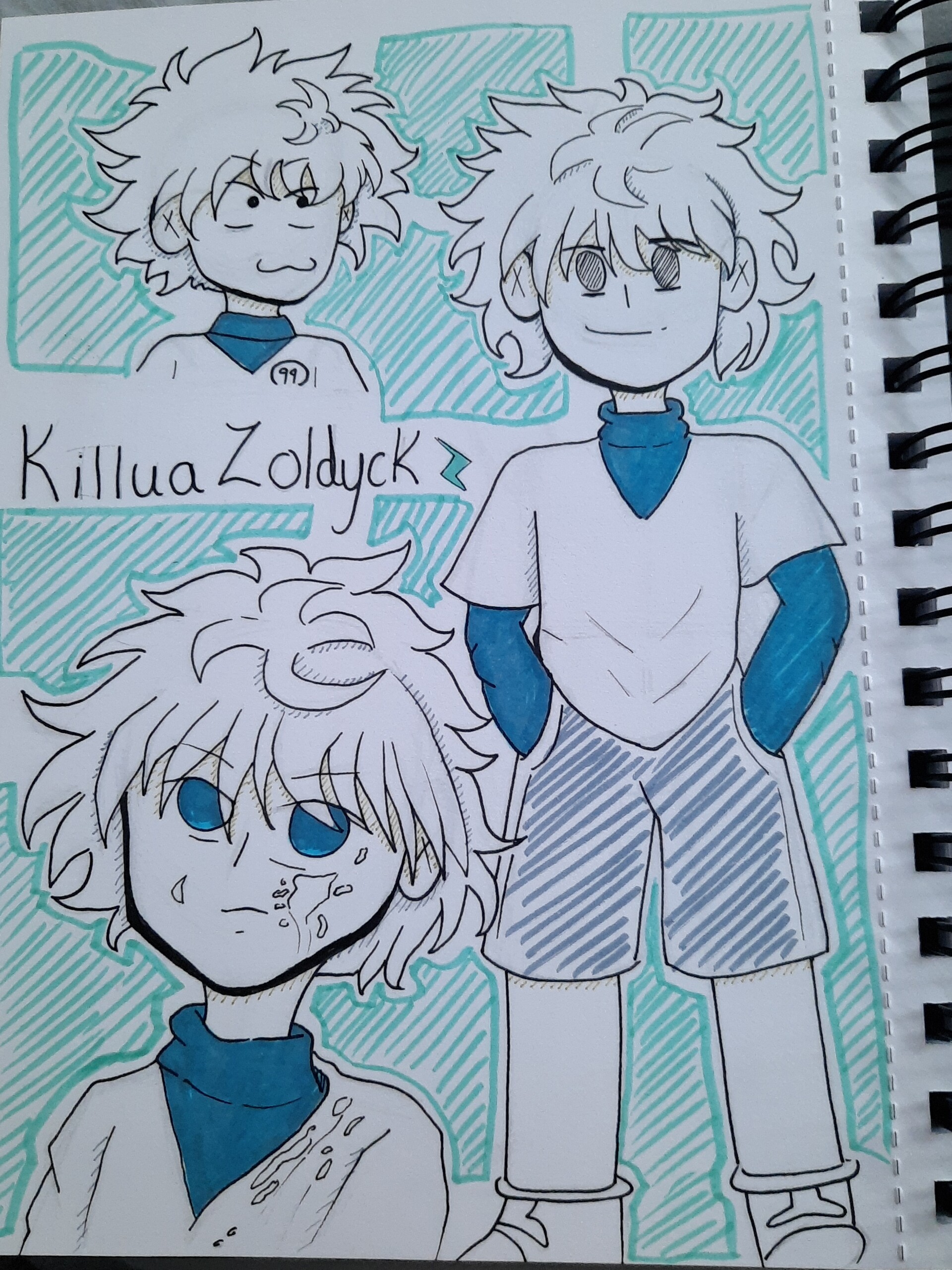 ArtStation - Killua and Alluka Character design study Hunter x hunter