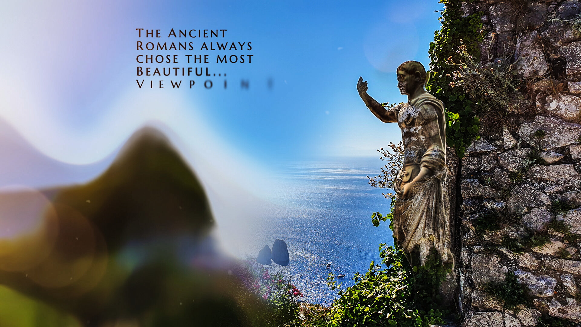 Gary Bird - VIEWPOINT