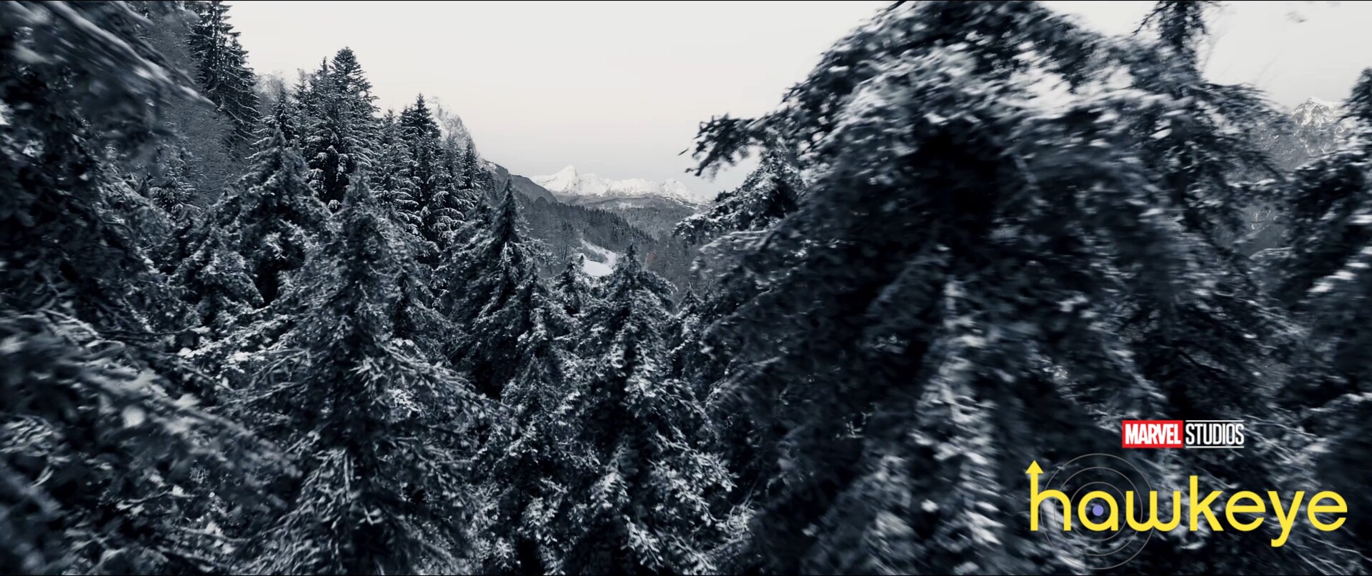 Harry（Zhilin） Tang - 【CG environment&DMP】Hawk Eye- CG forest and DMP ...