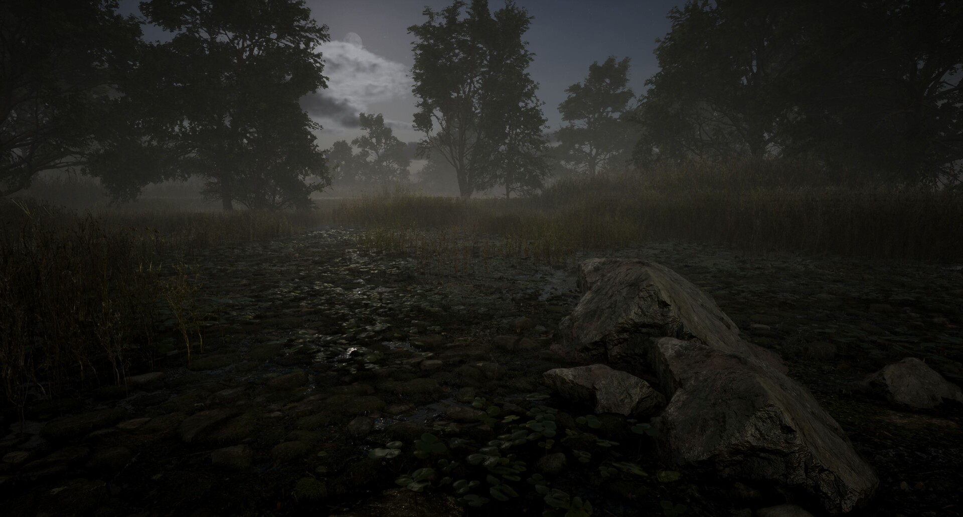 ArtStation - Good Night, Swamp (UE4)