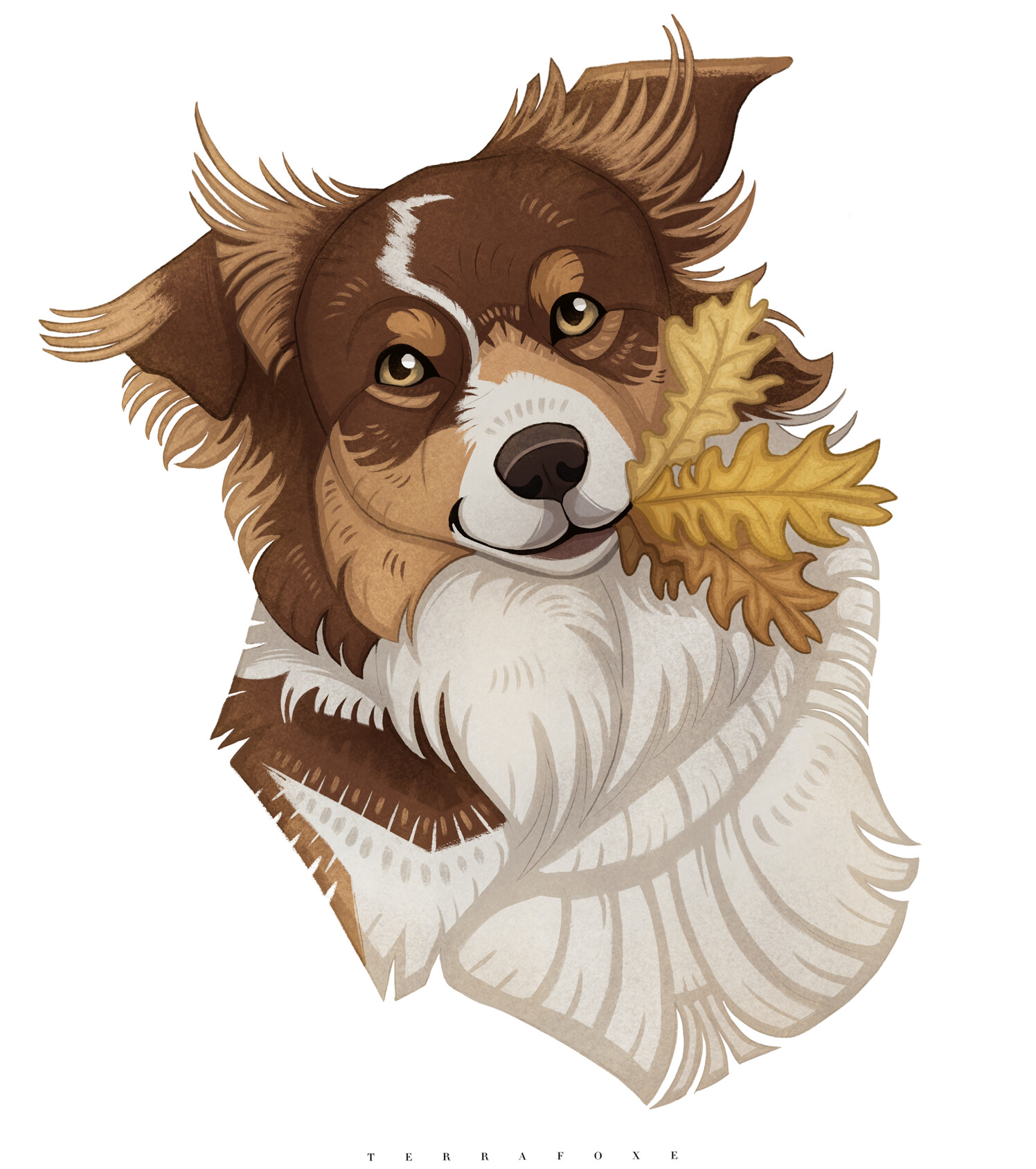 ArtStation - Maple The Border Collie