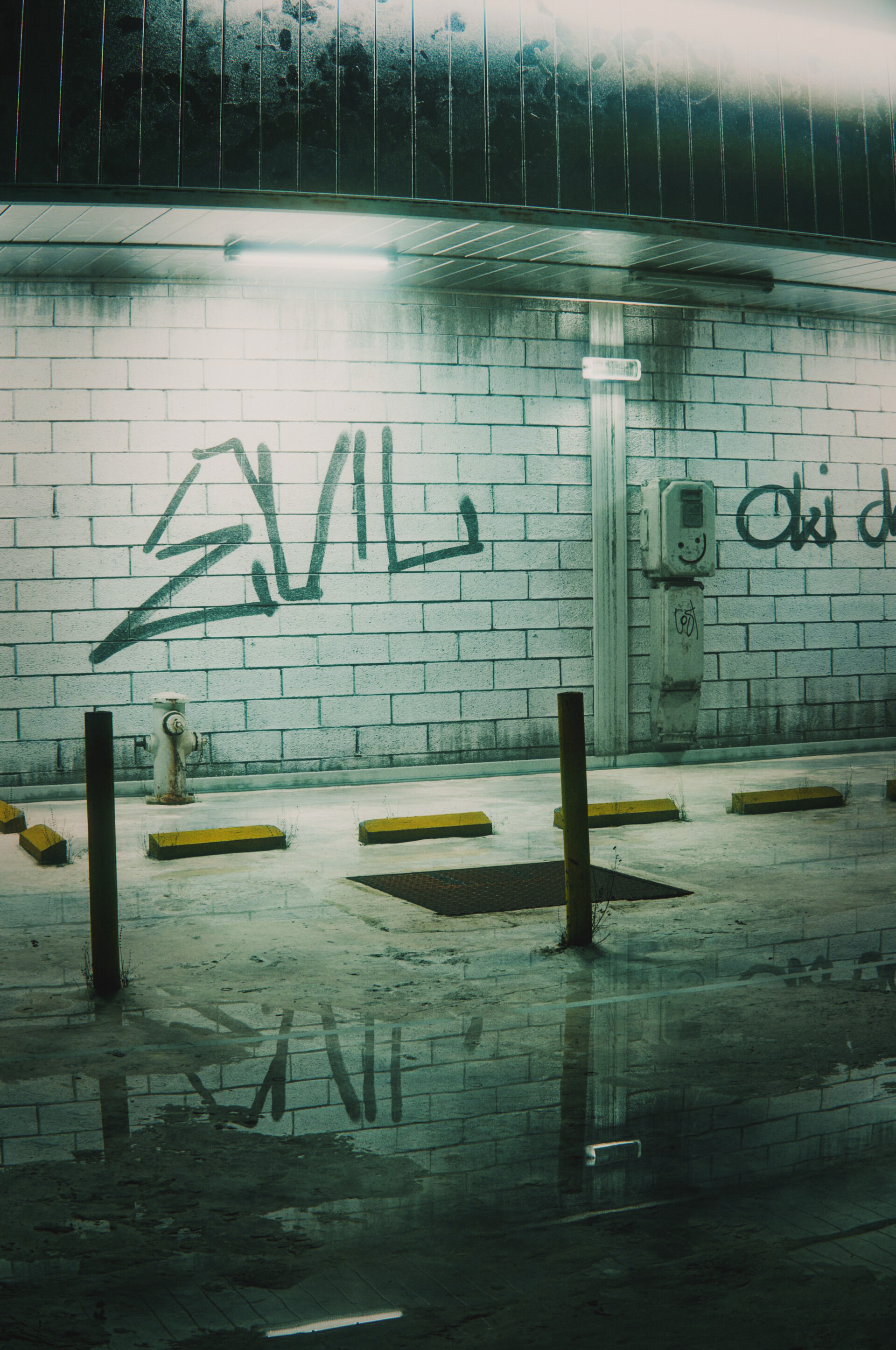 ArtStation - Evil.. Oki doki