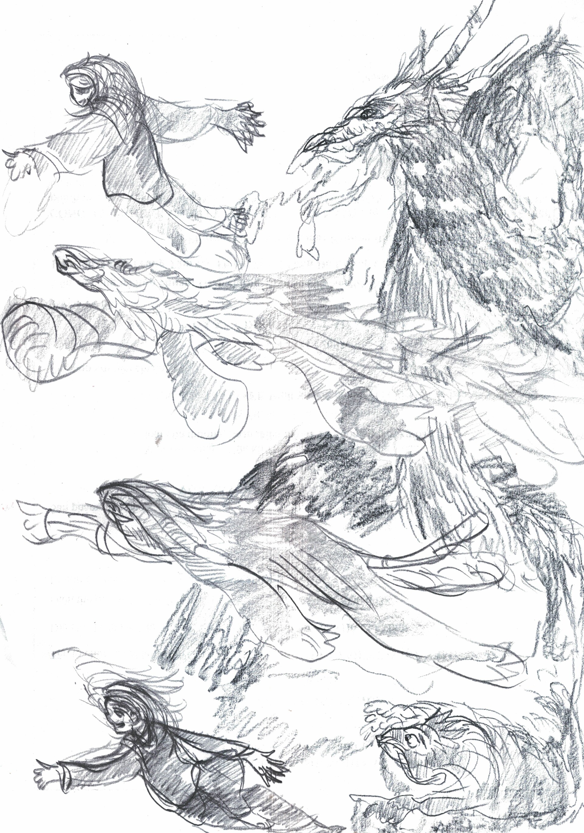 ArtStation - dragon sketch 7