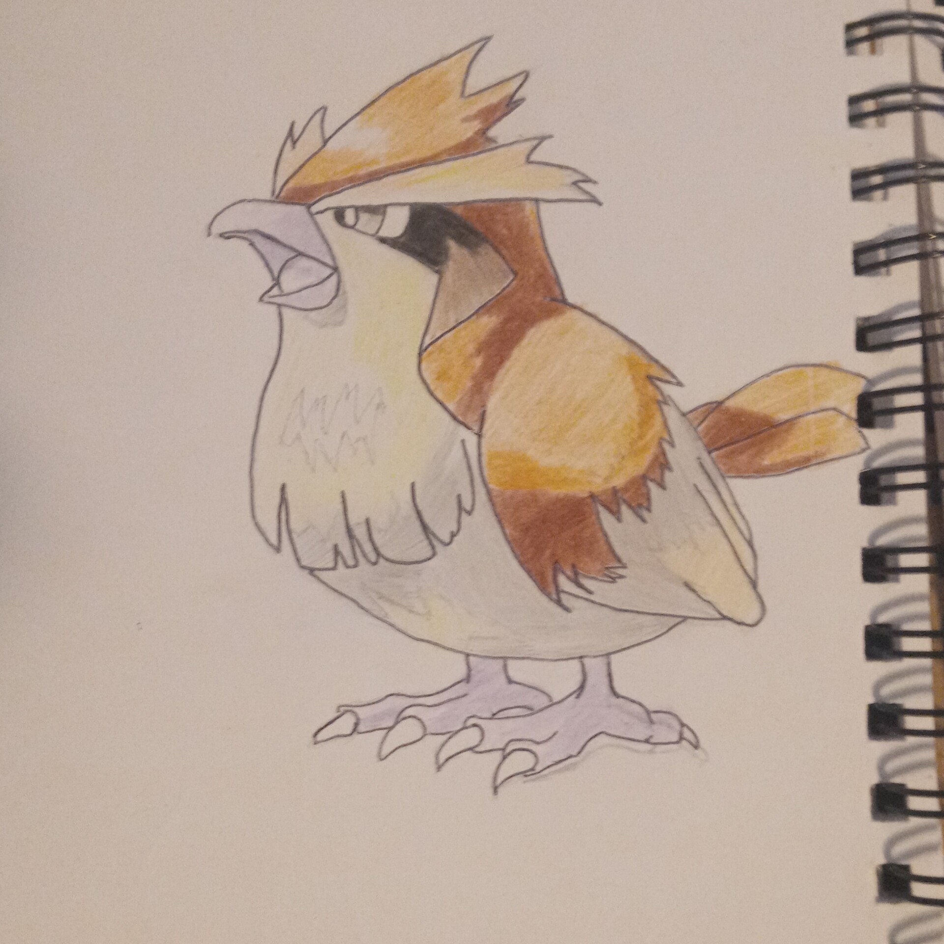 ArtStation - Pidgey drawing from reference