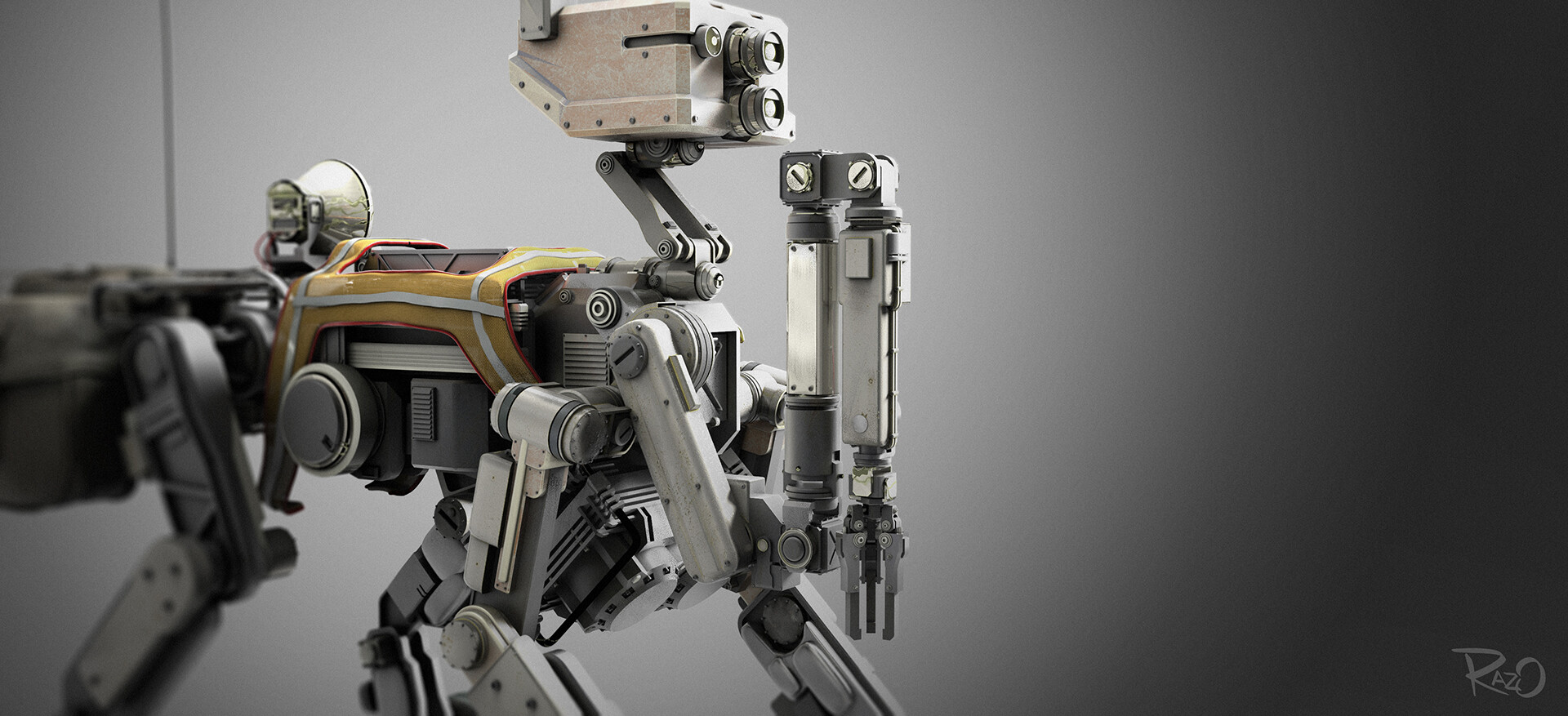 patrick razo (nino) - DEWEY, finch