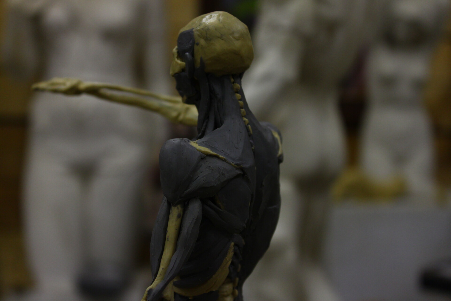 Ruslan Sokolov - Anatomy study. Part two: 50 shades of gray muscles