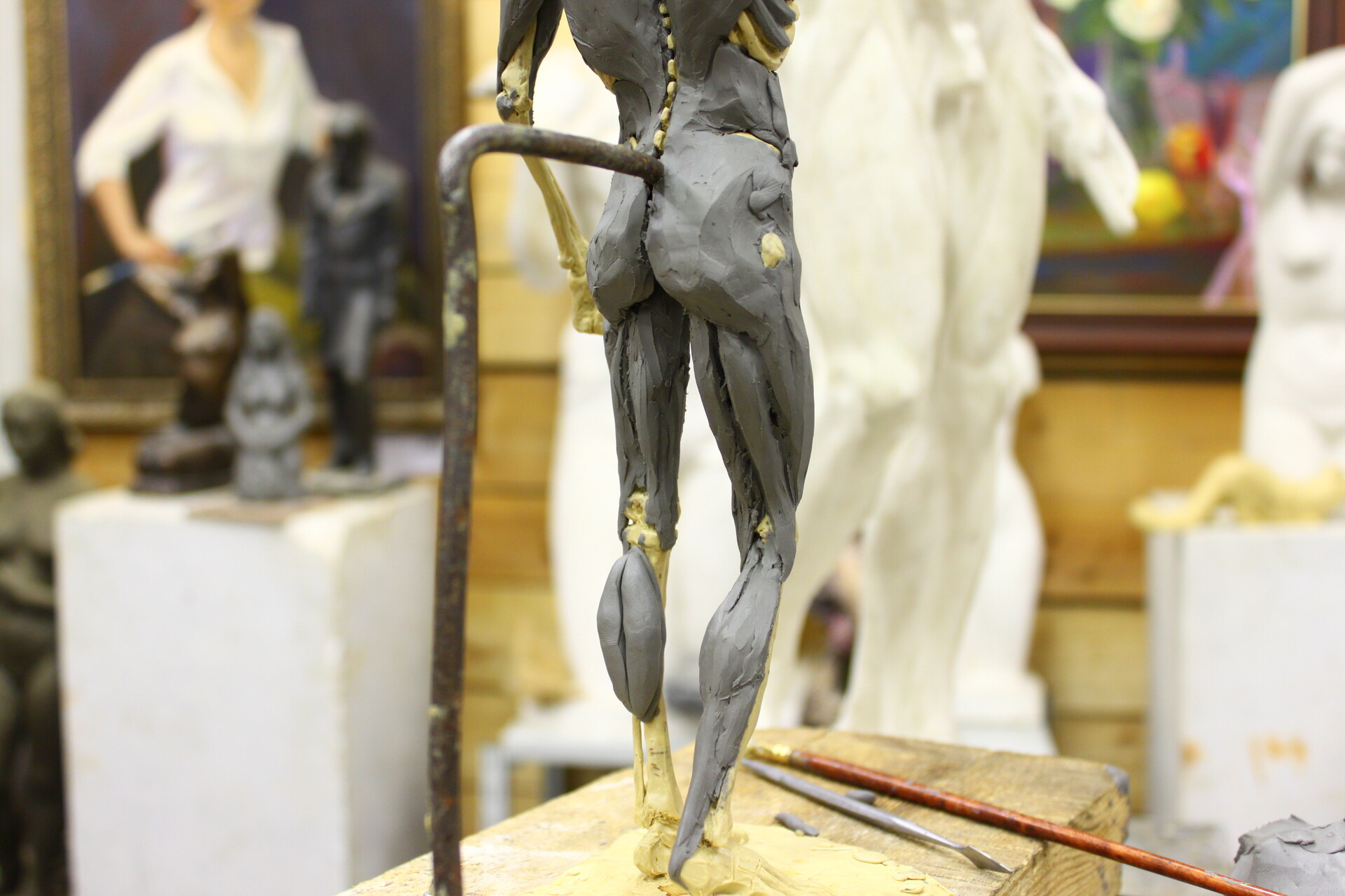 Ruslan Sokolov - Anatomy study. Part two: 50 shades of gray muscles