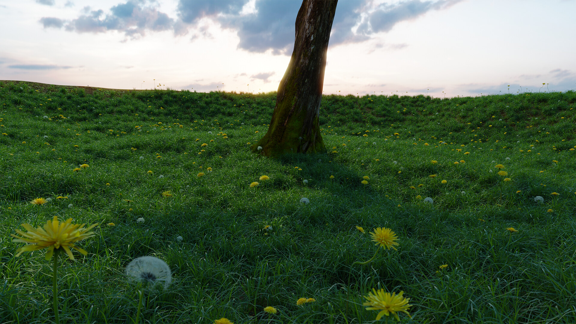 ArtStation - A dandelion field