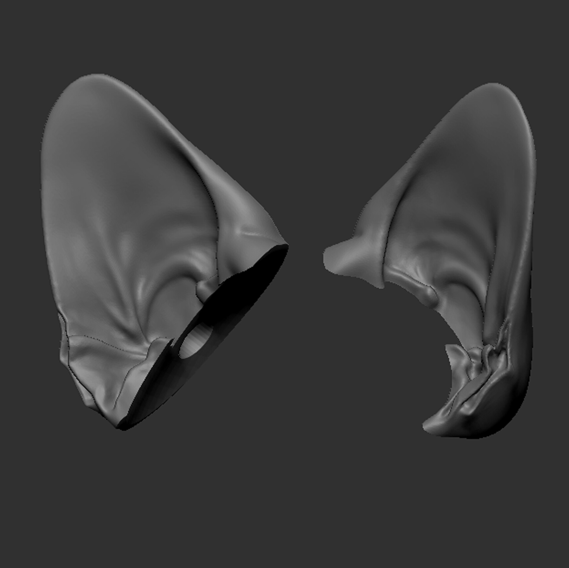 ArtStation - Cat ears