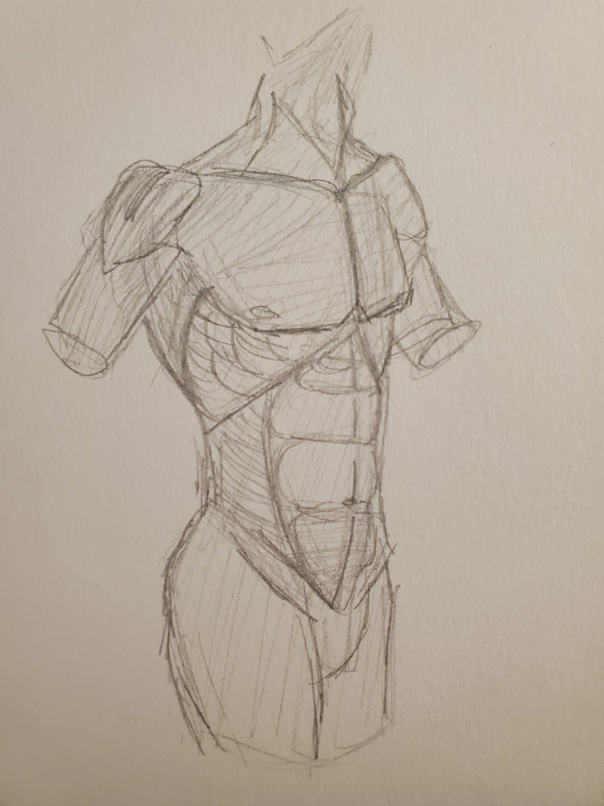 ArtStation - Torso Anatomy Work