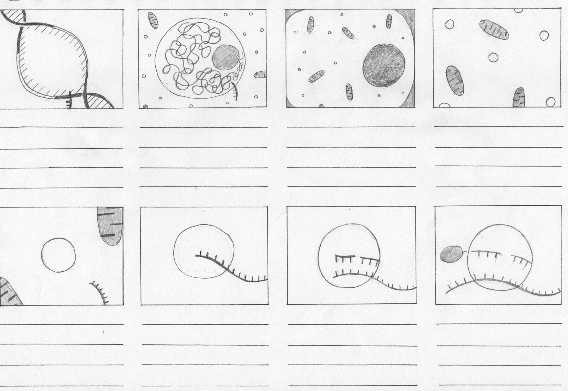 Taran Taylor - Genetic Modification Animation Storyboard