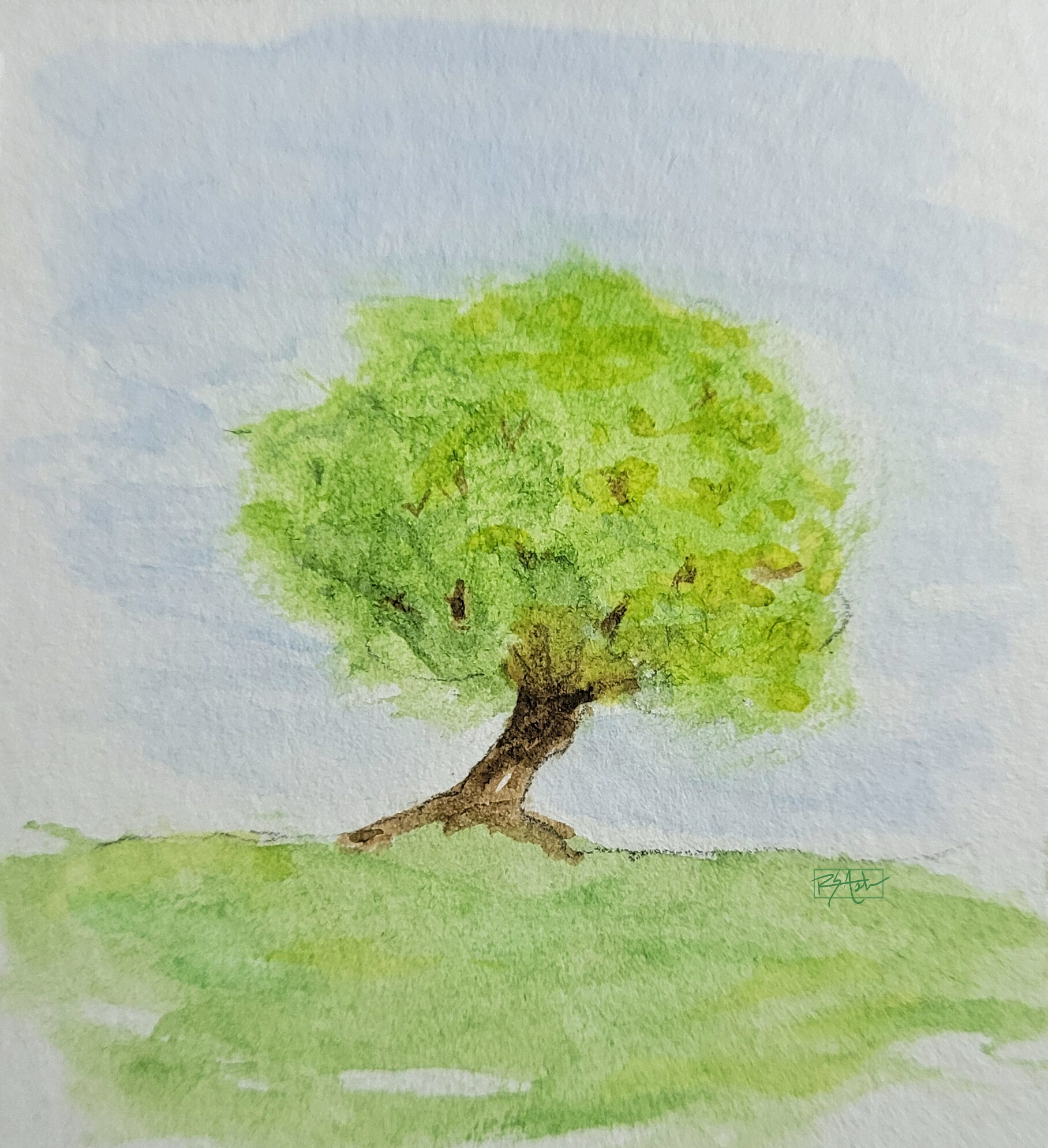 Summer Tree Drawing