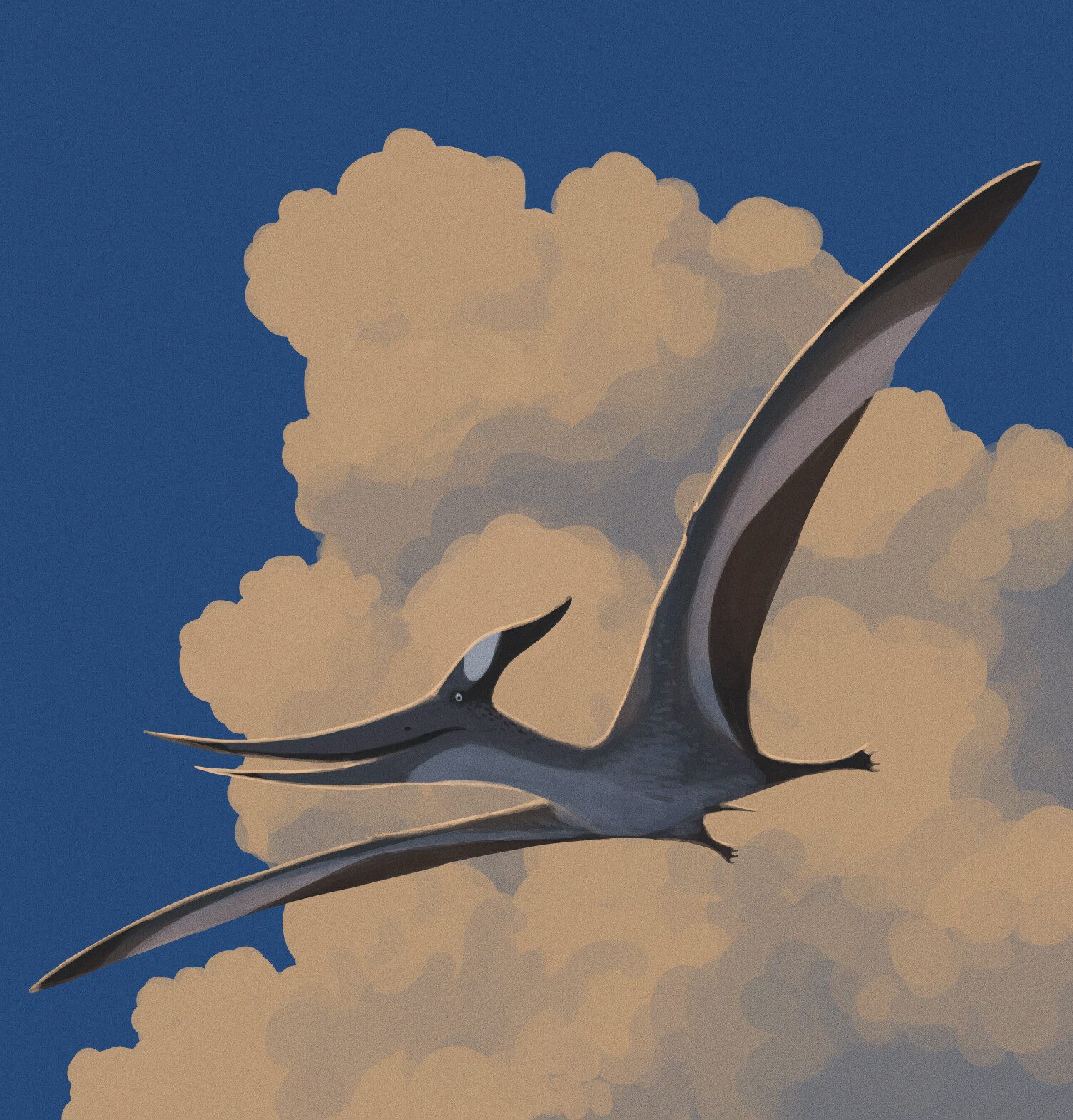 ArtStation - Pteranodon