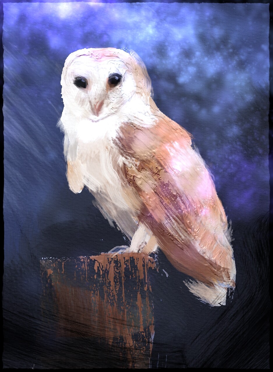 ArtStation - Barn Owl