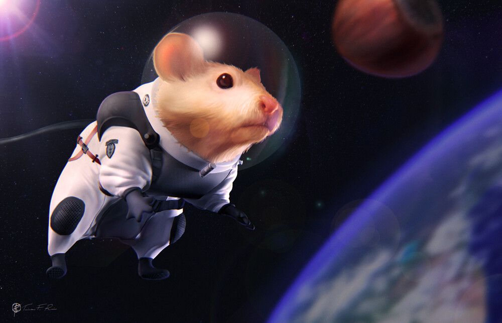The Astronaut Hamster by Tiziana Federica Ruiu : r/ImaginaryAstronauts