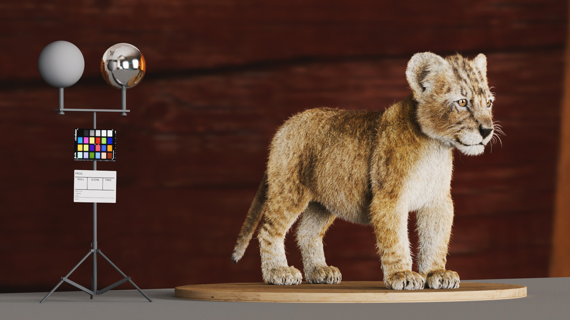 ArtStation - lion cub - groom and lookdev