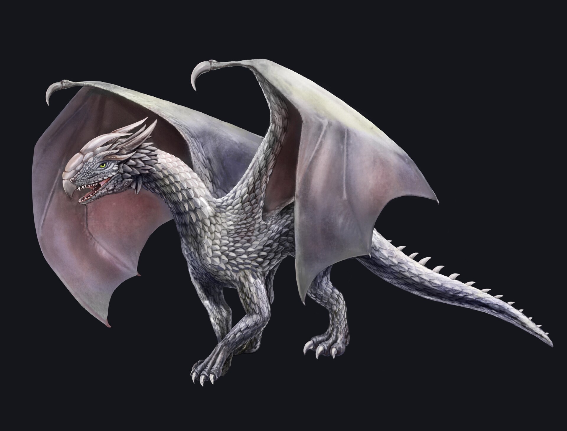 ArtStation - White dragonling