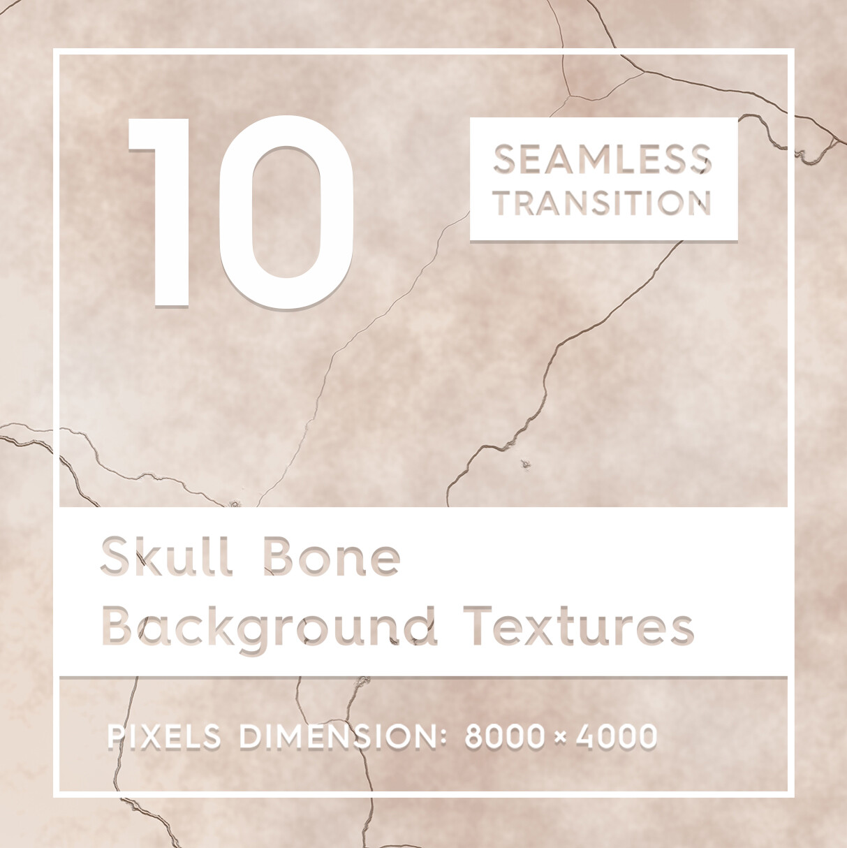 ArtStation - 10 Skull Bone Textures