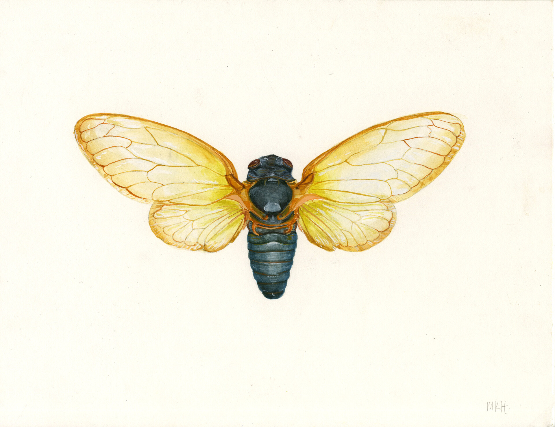 ArtStation - Gold Cicada