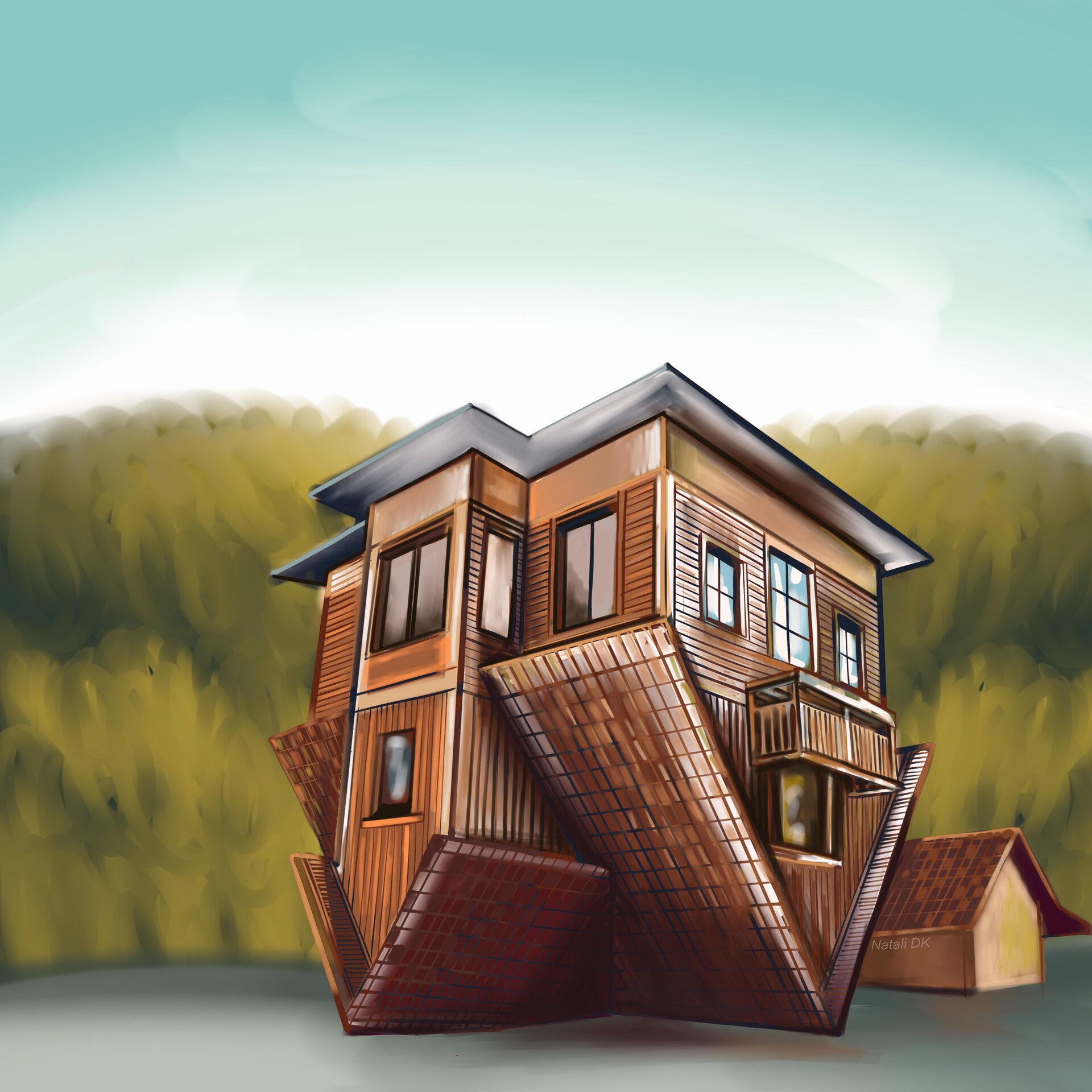 Nataliia Dovhaniuk Natali DK - Inverted house, Bukovel