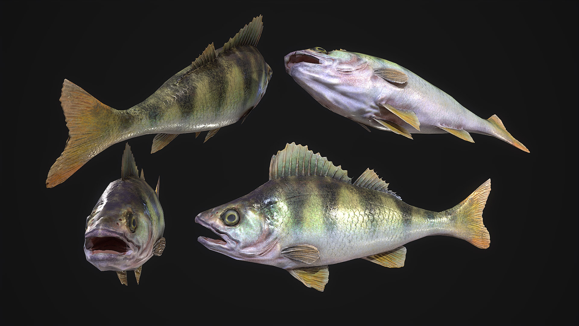 matt isaac - Rust Fish