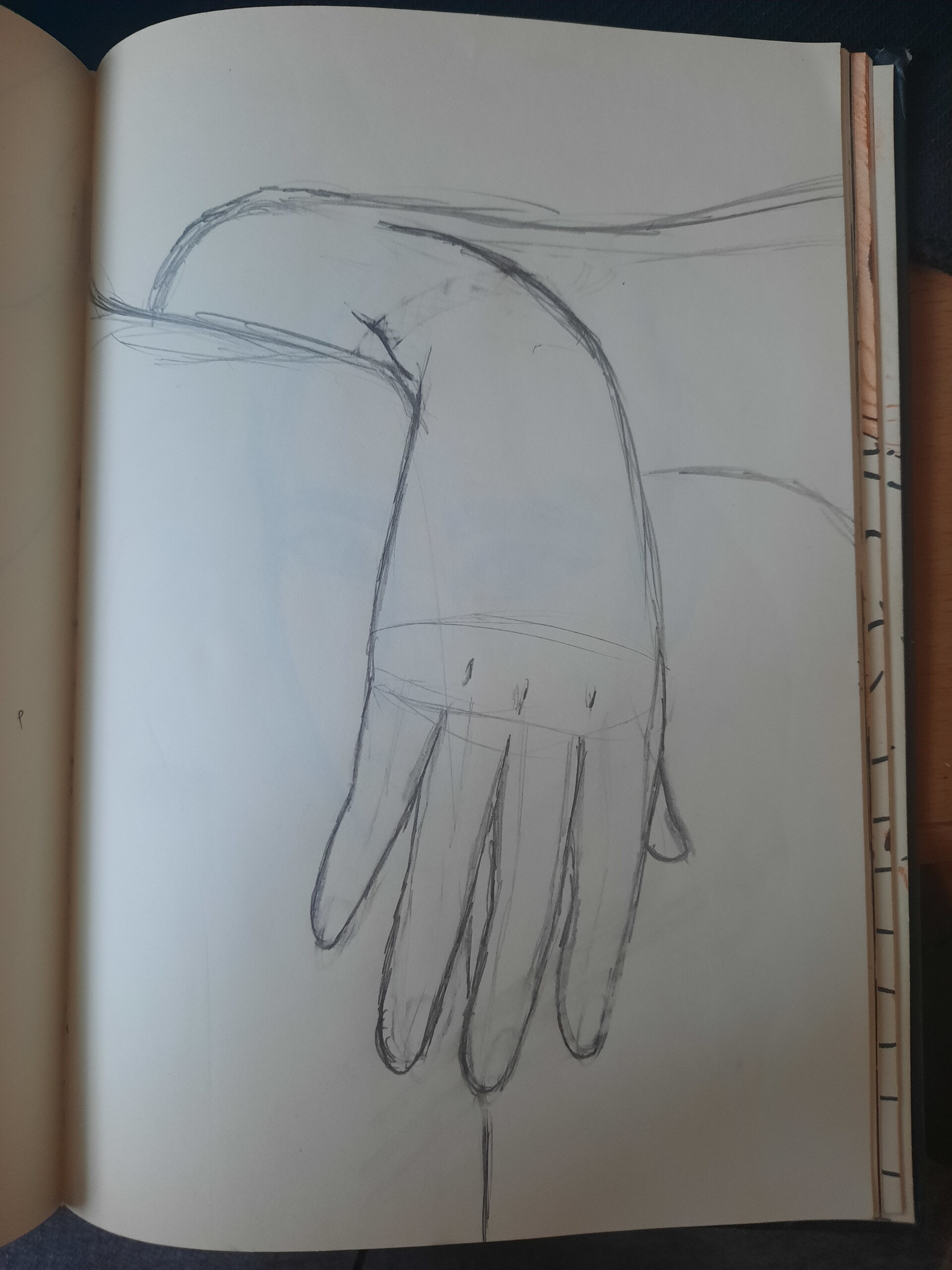 ArtStation - Hand sketch