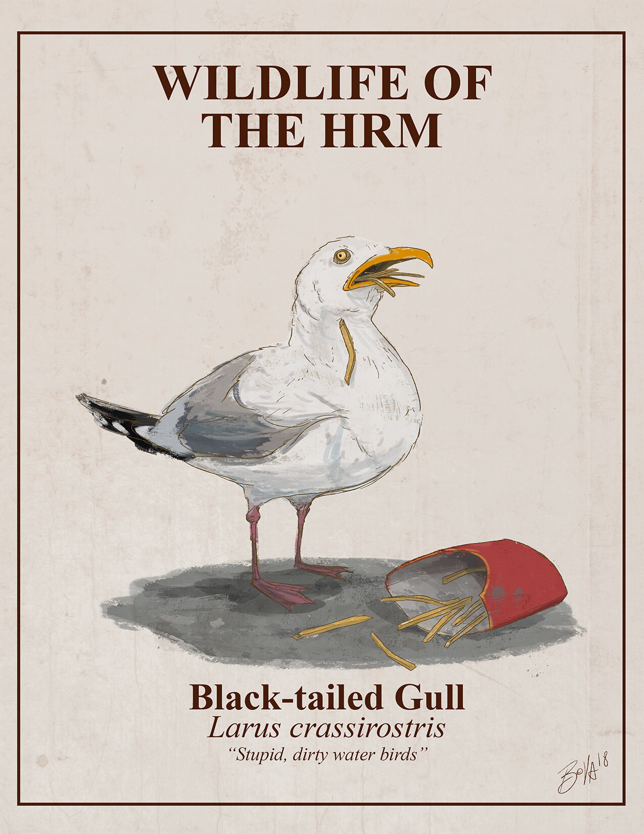 ArtStation - Black-tailed Gull