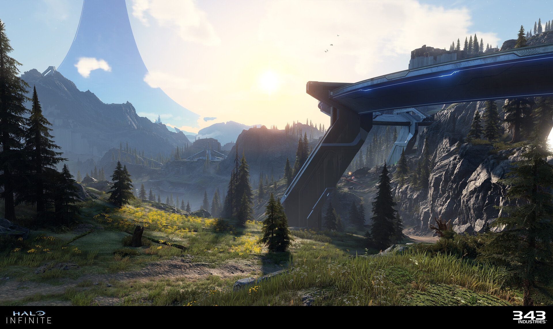 Steven Carroll - Halo: Infinite - Grasslands