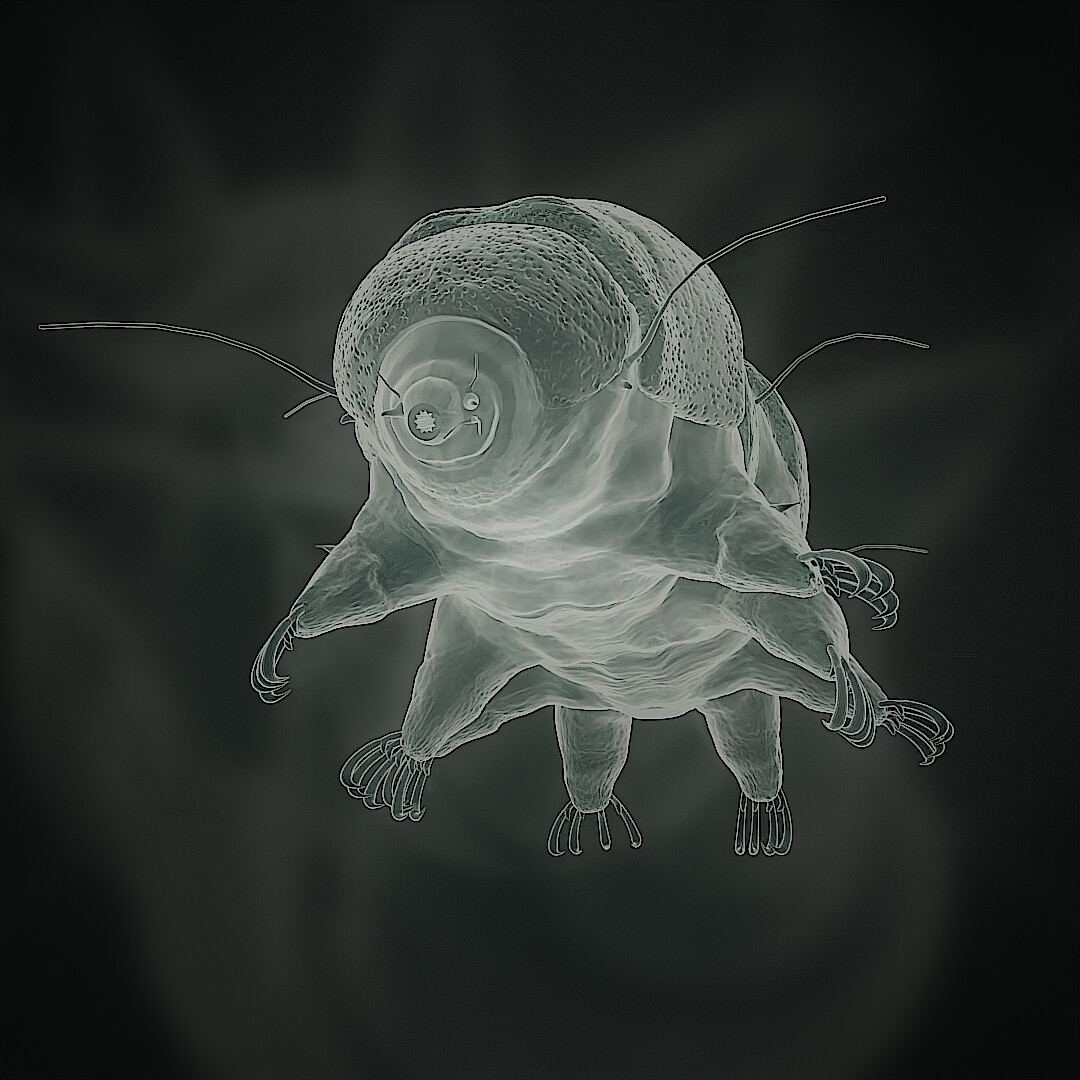 ArtStation - Tardigrade
