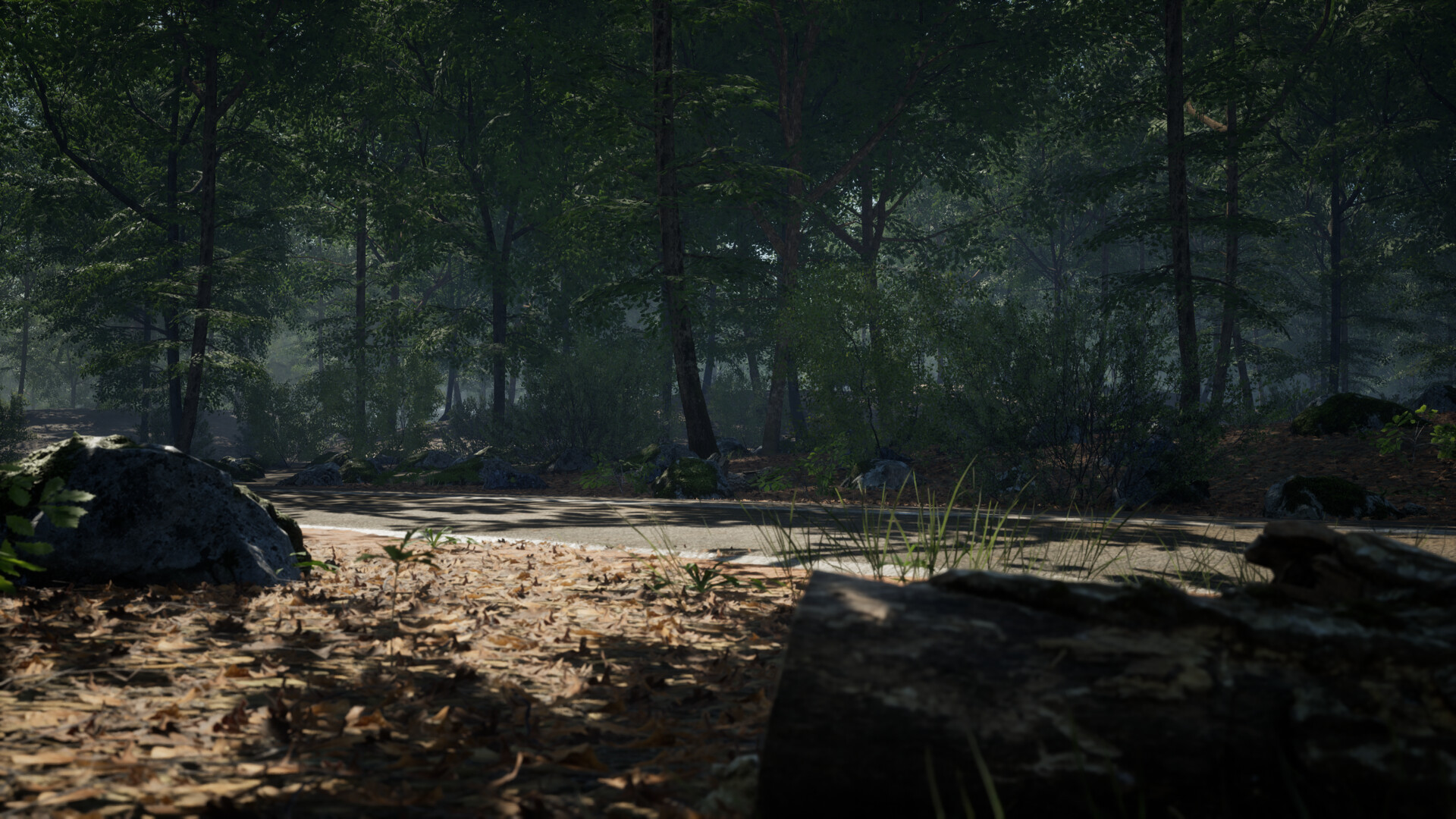 Serif Can - MAE Oak Forest