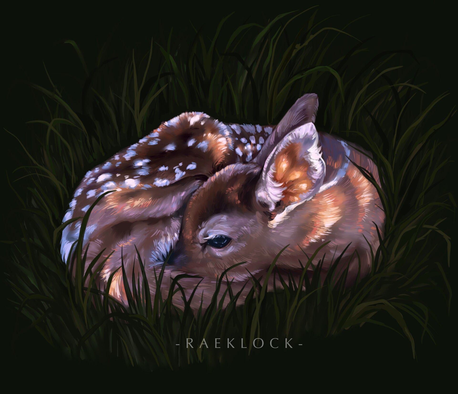 ArtStation - Fawn study