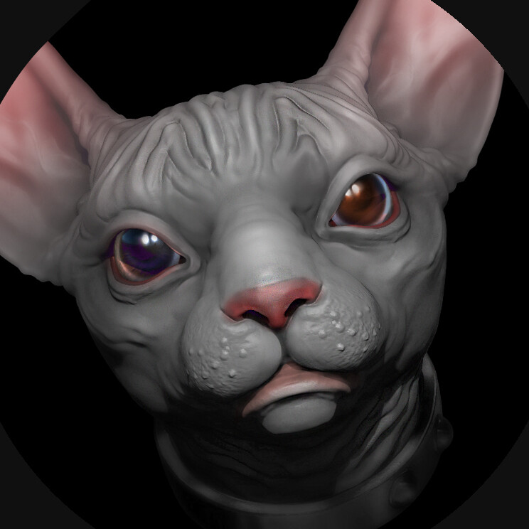ArtStation - No hair cat