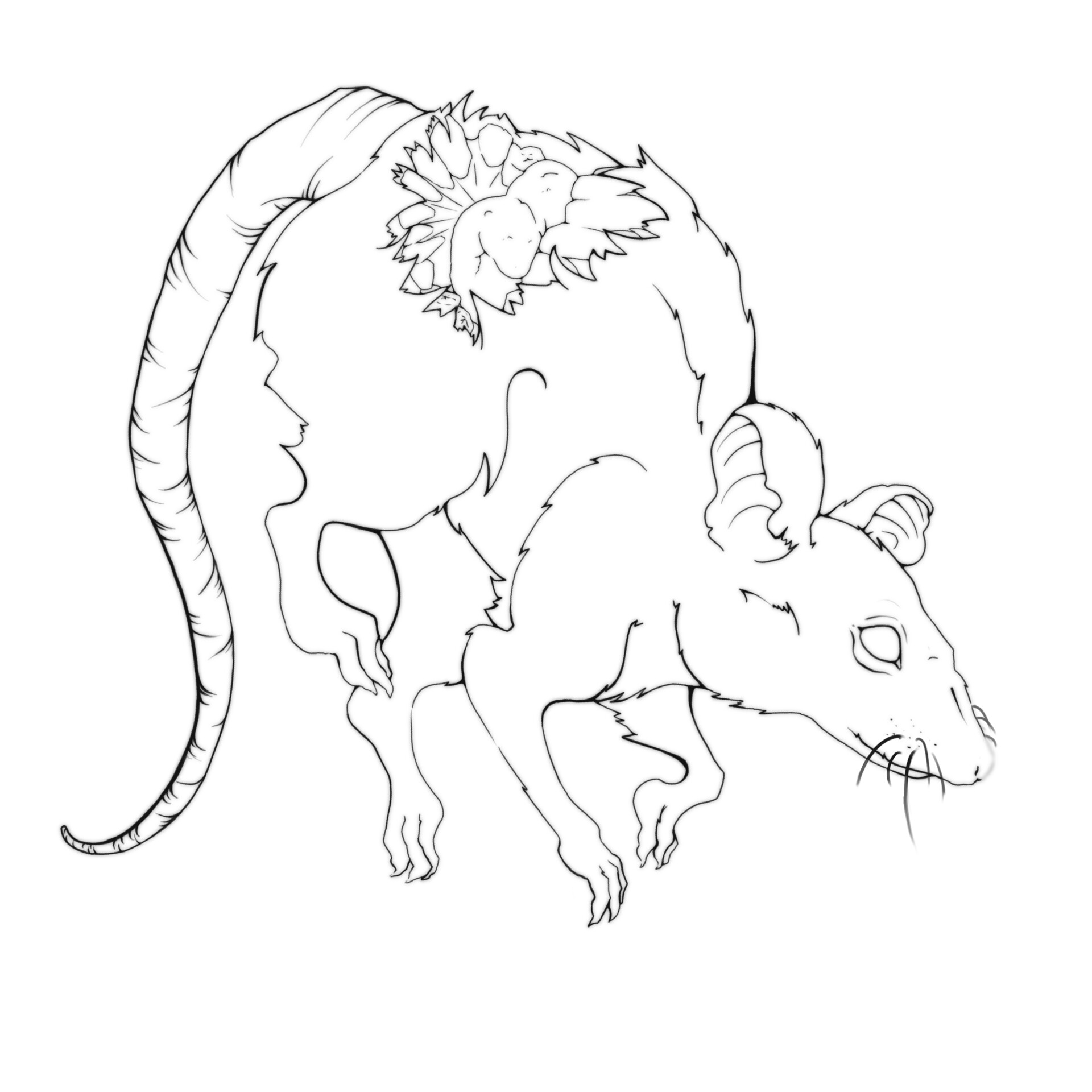 how to draw nightmare rat