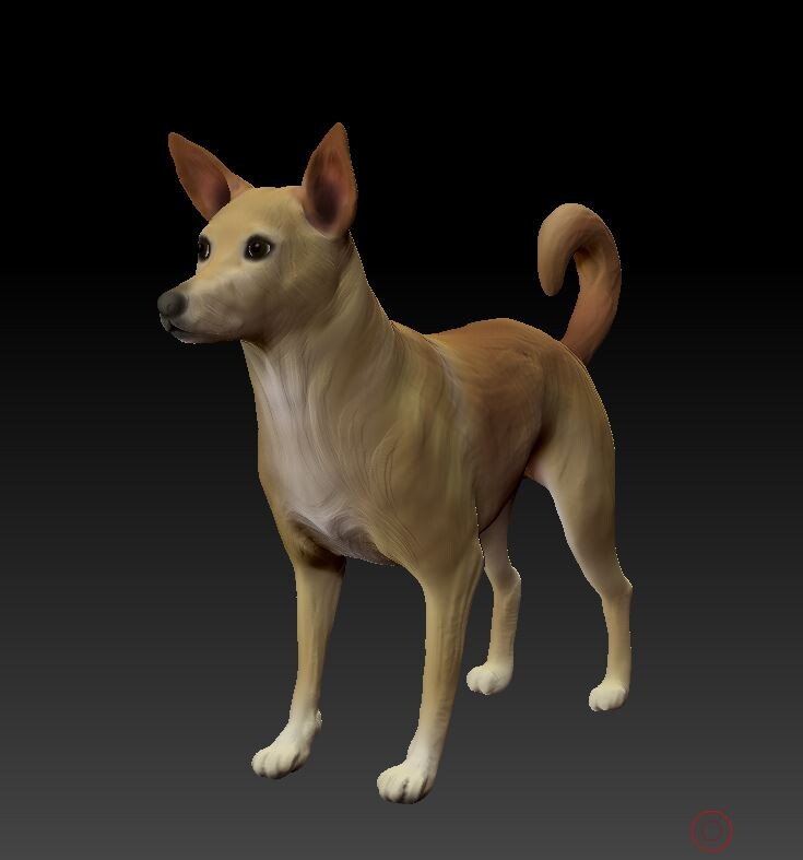 ArtStation - friends dog in 3D ( WIP)