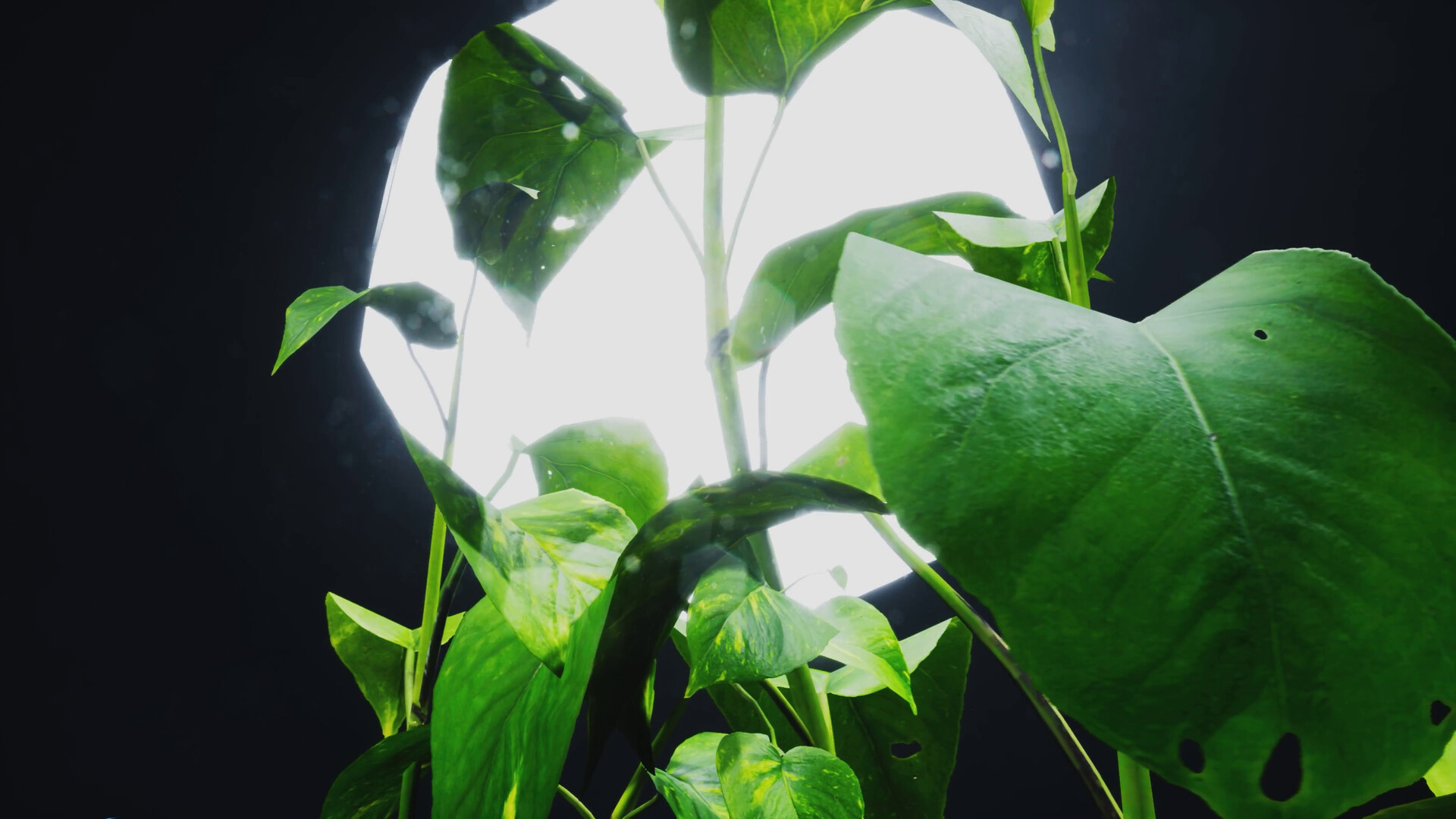 Lehusha Ivan - UNREAL ENGINE 4 - PRODUCT RENDERINGS SHOWREEL 2022 ...