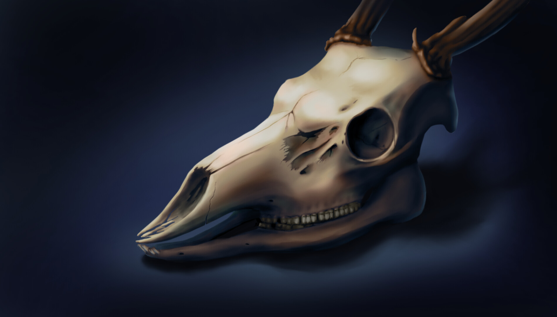 ArtStation - Scull