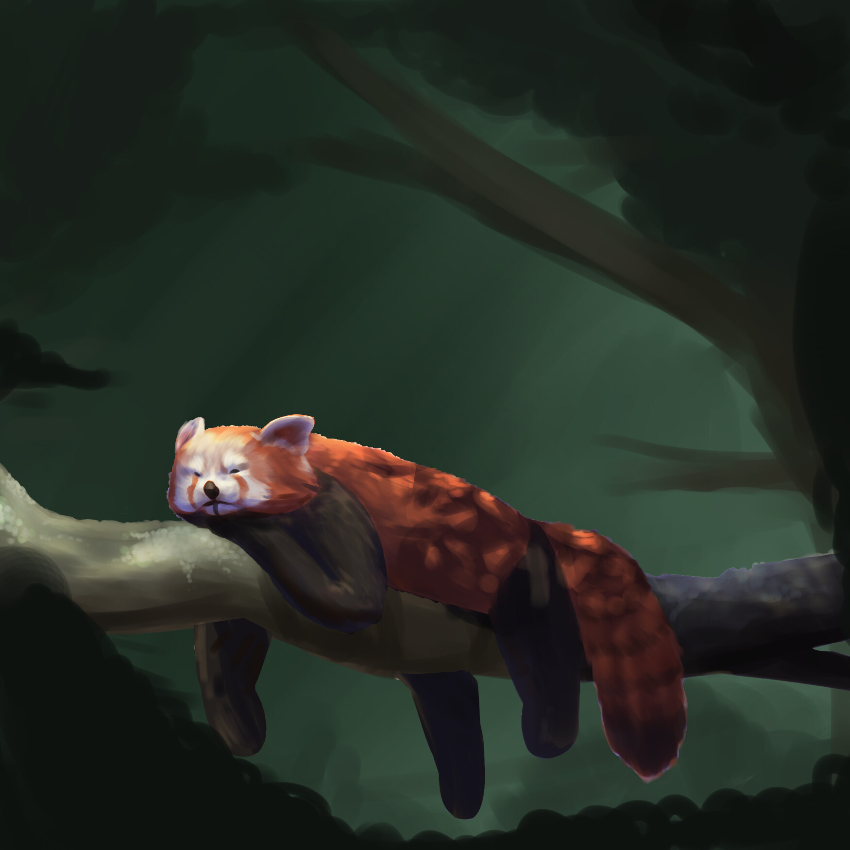 ArtStation - Red Panda Lounging