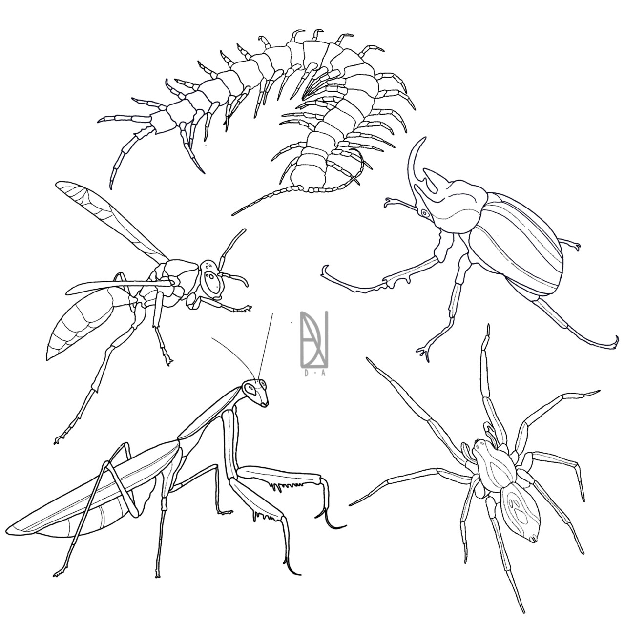ArtStation - Insects (Lineart)