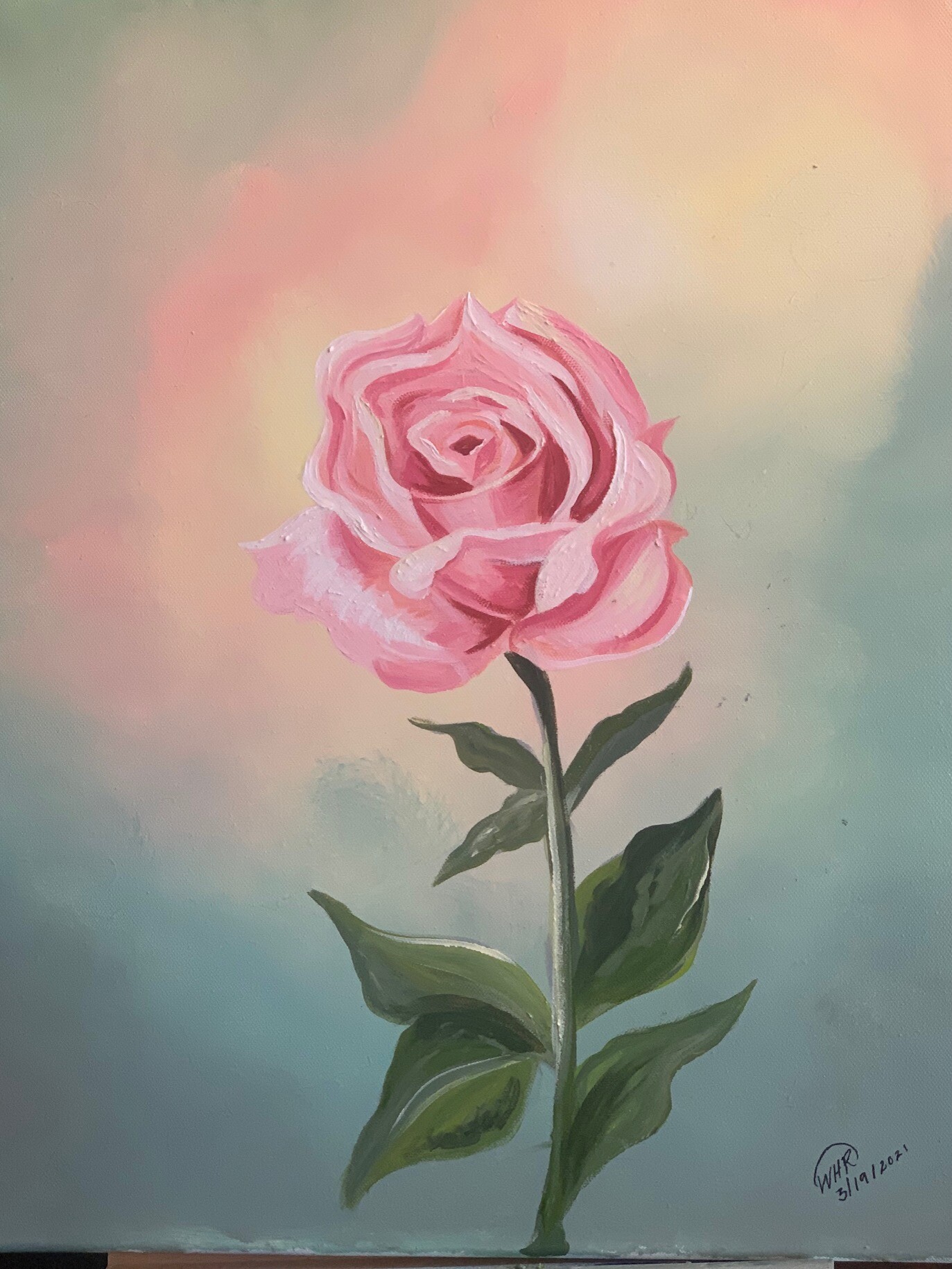 ArtStation - An Untouched Rose