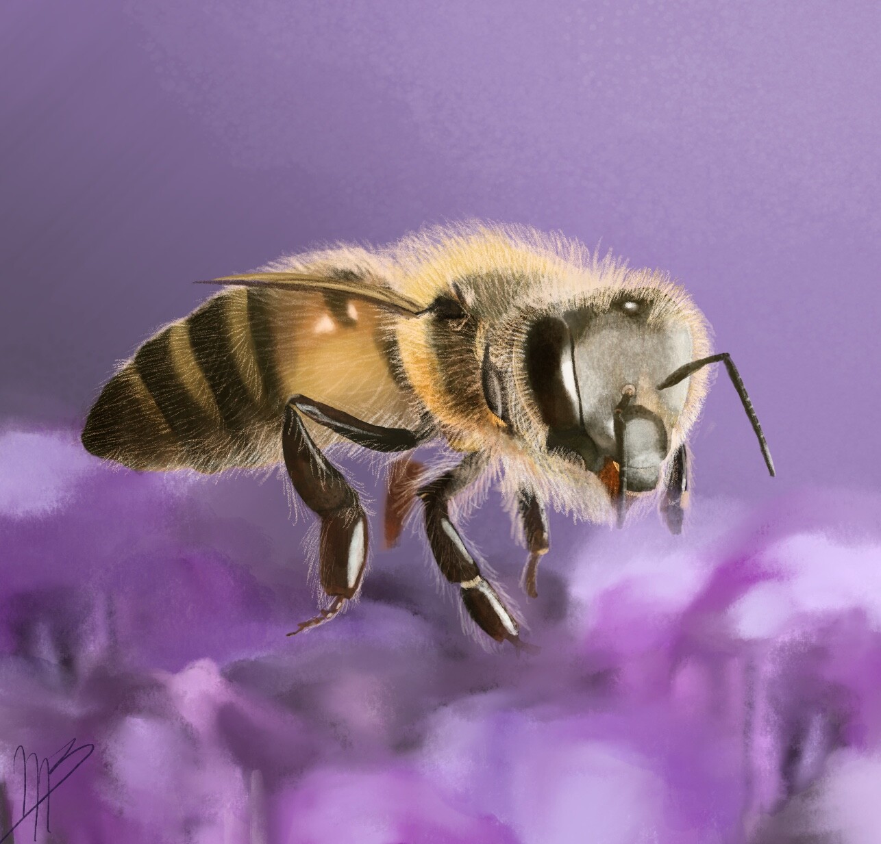 ArtStation - Bee!