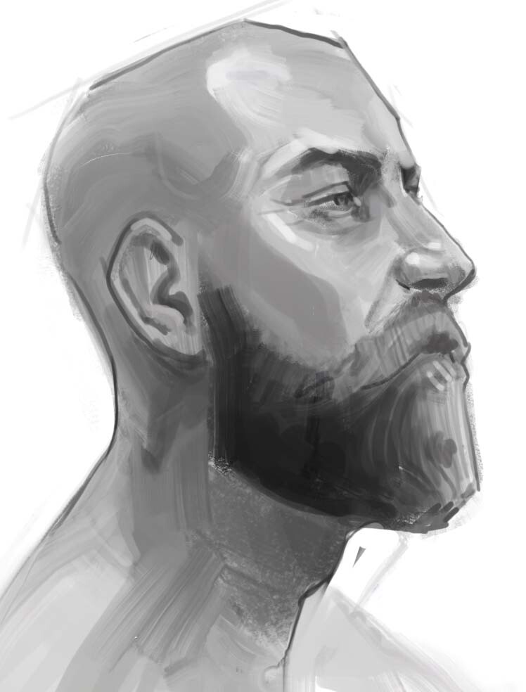 Max Mayer - Portrait Studies 1