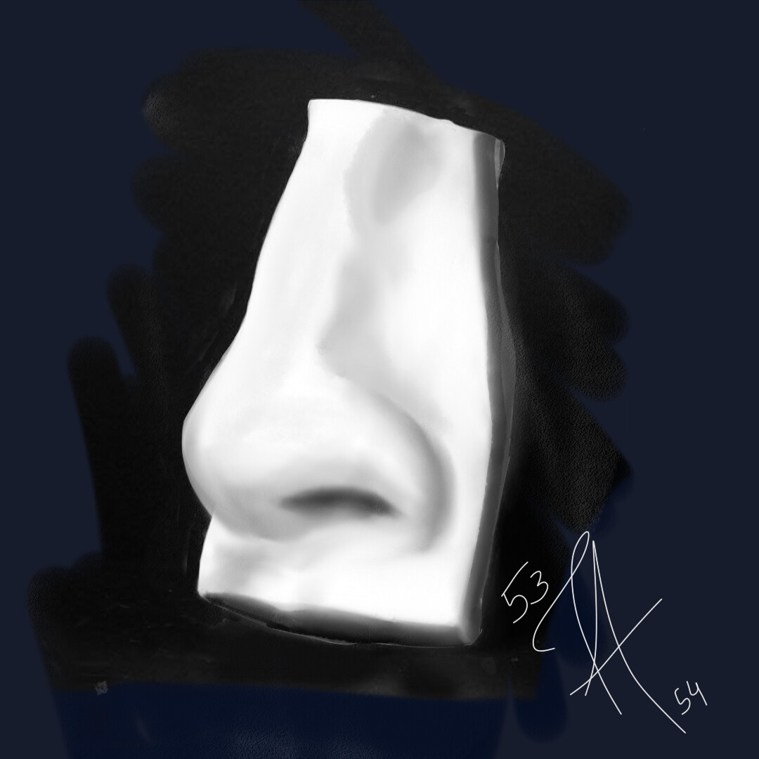 ArtStation - Nose cast