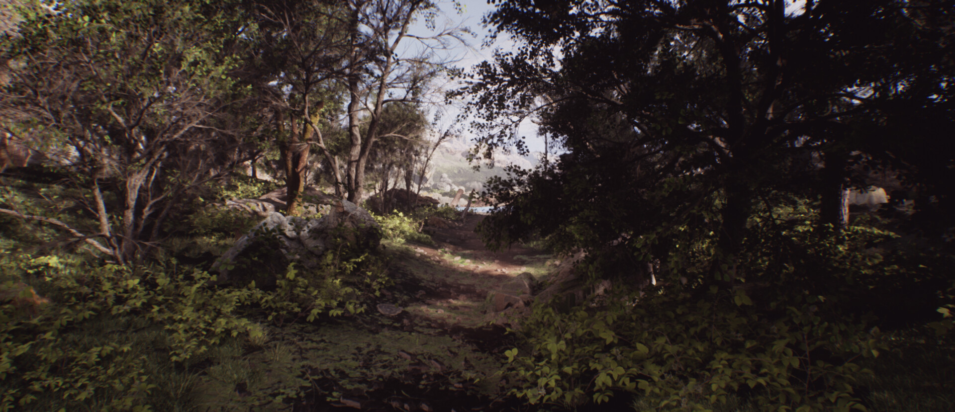 Ruben Roldan - The... Forest?