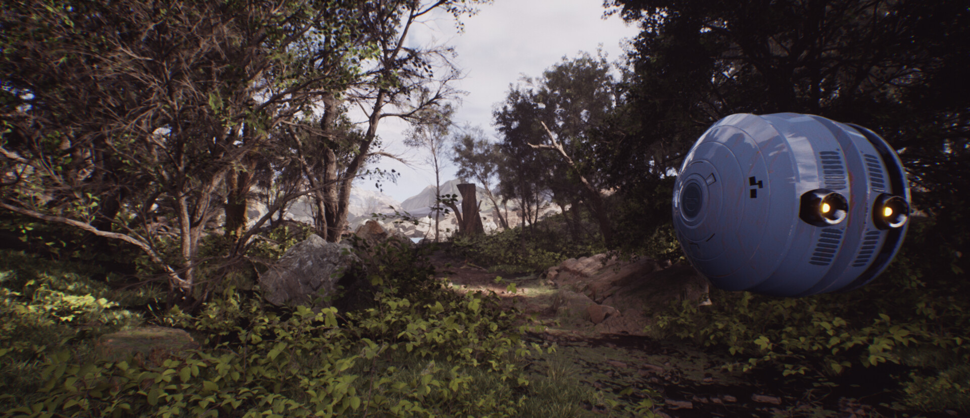 Ruben Roldan - The... Forest?