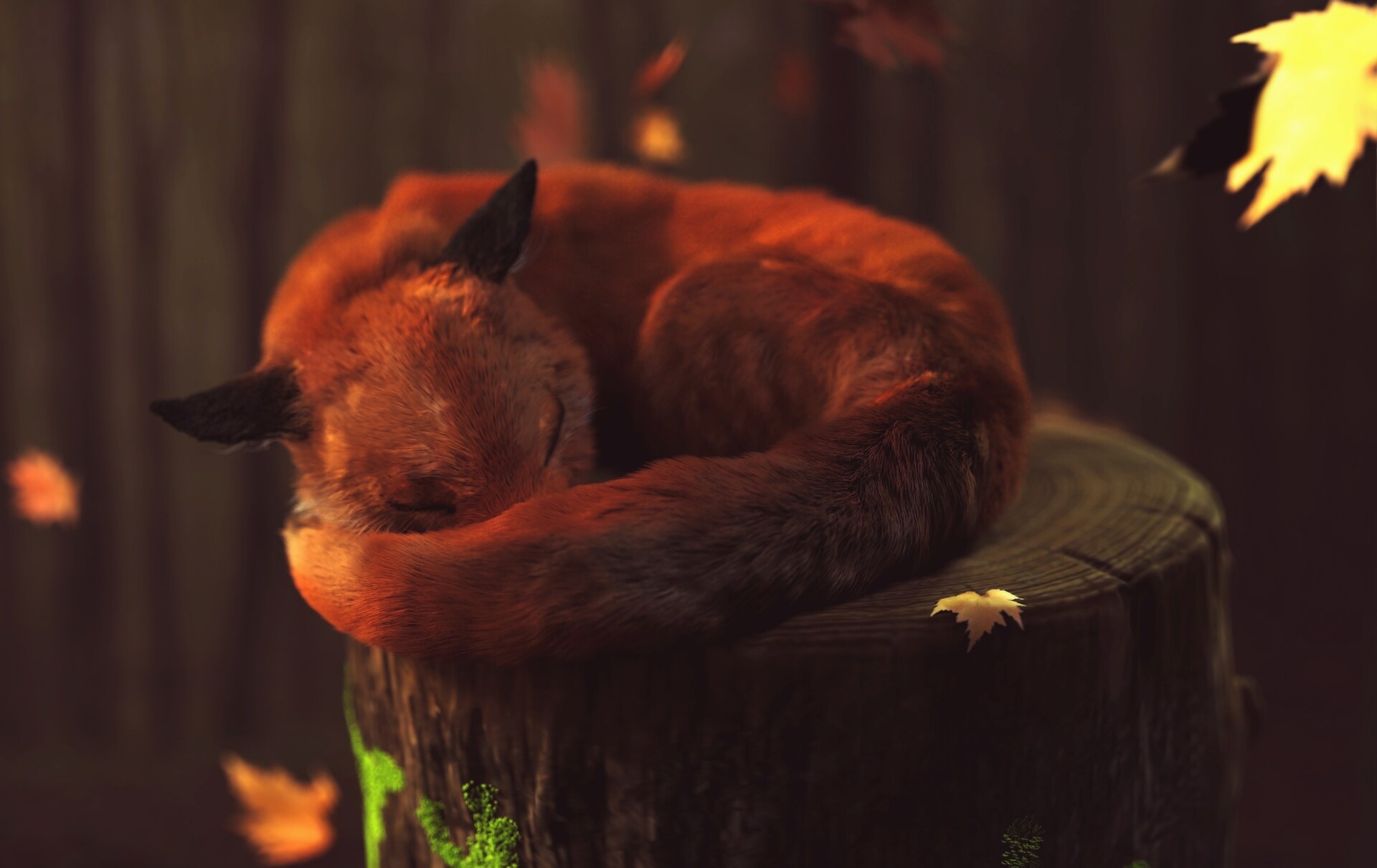 ArtStation - sleeping fox