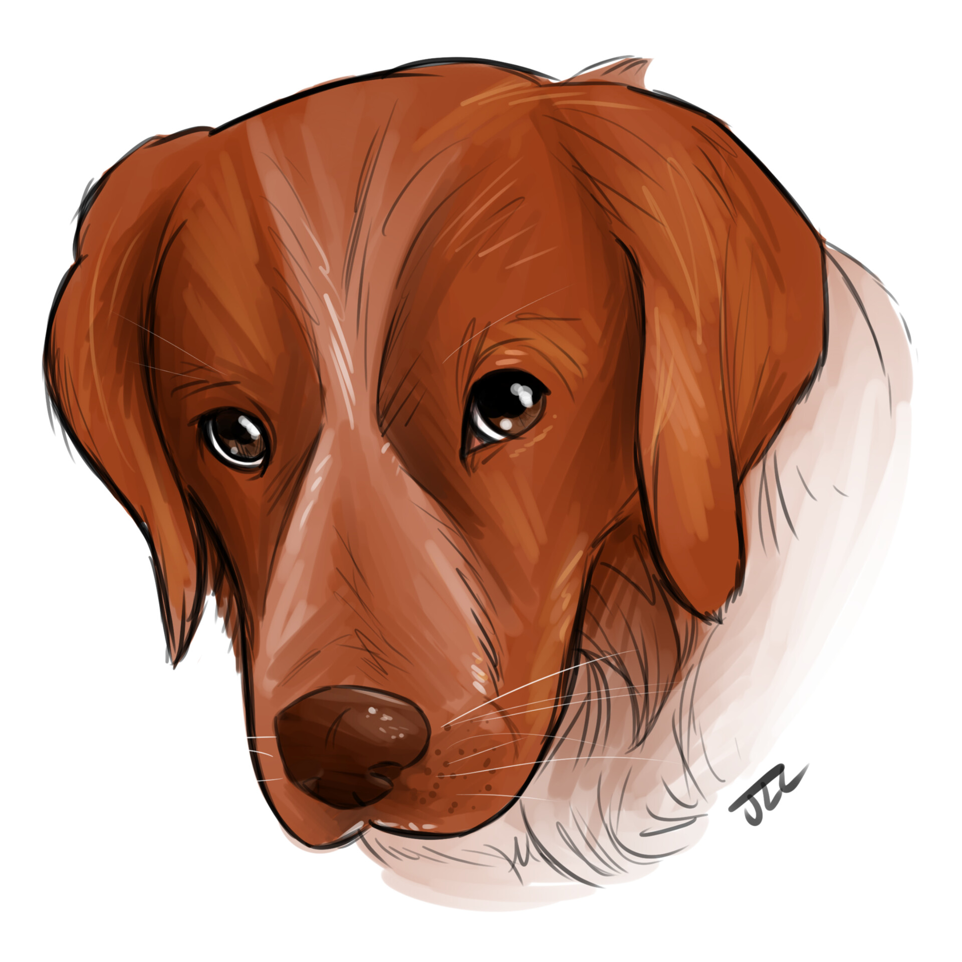 ArtStation - Doggo Commissions