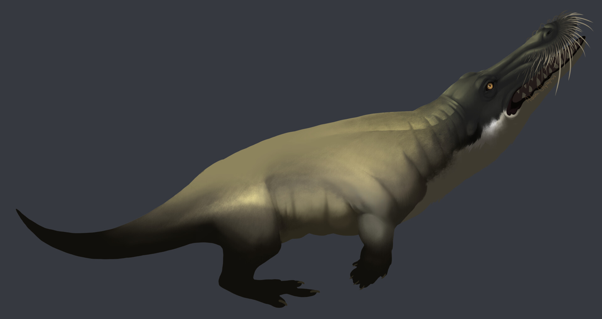 ambulocetus animation